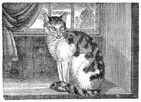 Thomas Bewick 's Life and Art - Thomas Bewick's Engravings